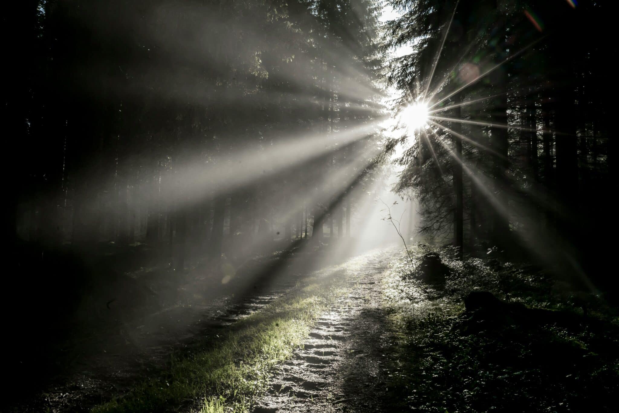 脳卒中後の「見えにくさ」：視野の欠け・二重に見える原因と対処法 | たける眼科 | 福岡市早良区 高取商店街[西新駅／藤崎駅]